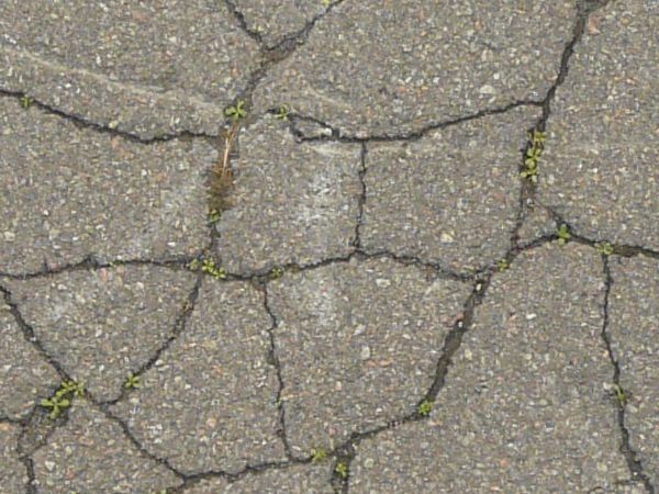 asphalt with weeds 0054 - Texturelib